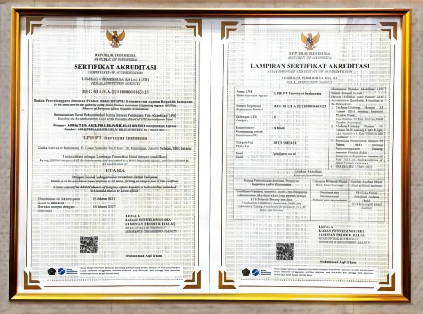 BPJPH清真认证_临智略20年专注GMP认证及生产许可证办理